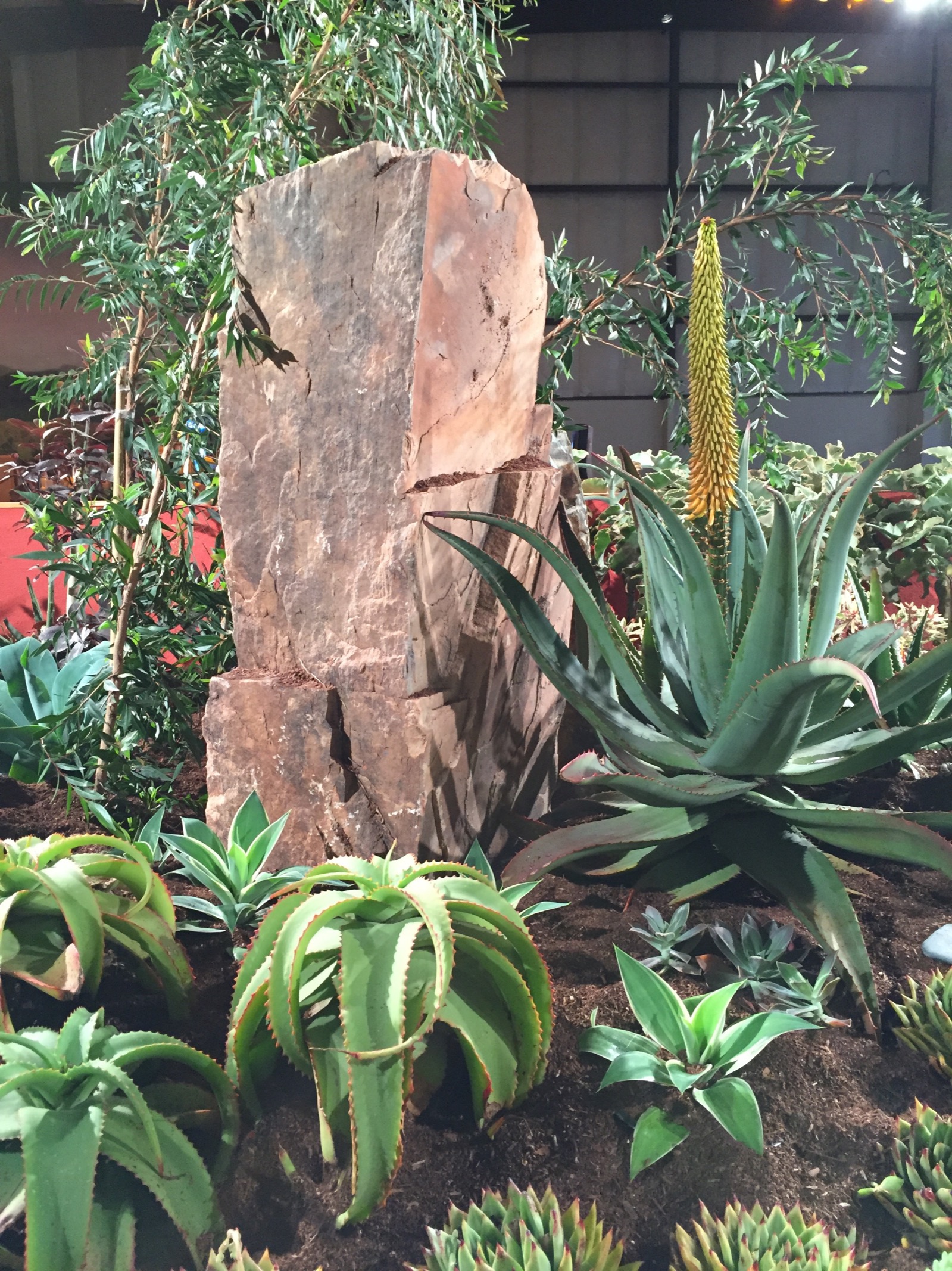 Outdoor lighting | Gardening Tips for the Santa Cruz Mountains